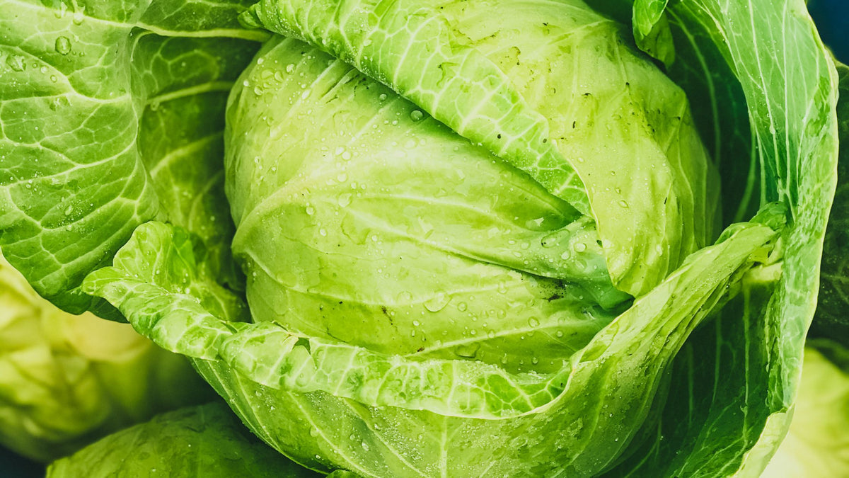 Charred Cabbage with Apples and Toasted Walnut Sauce – Ottawa Farm Fresh