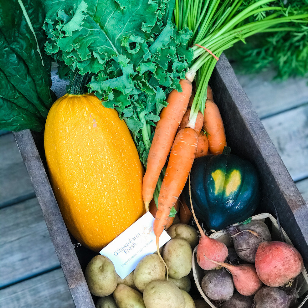 Winter CSA Bounty Baskets are Here! – Ottawa Farm Fresh