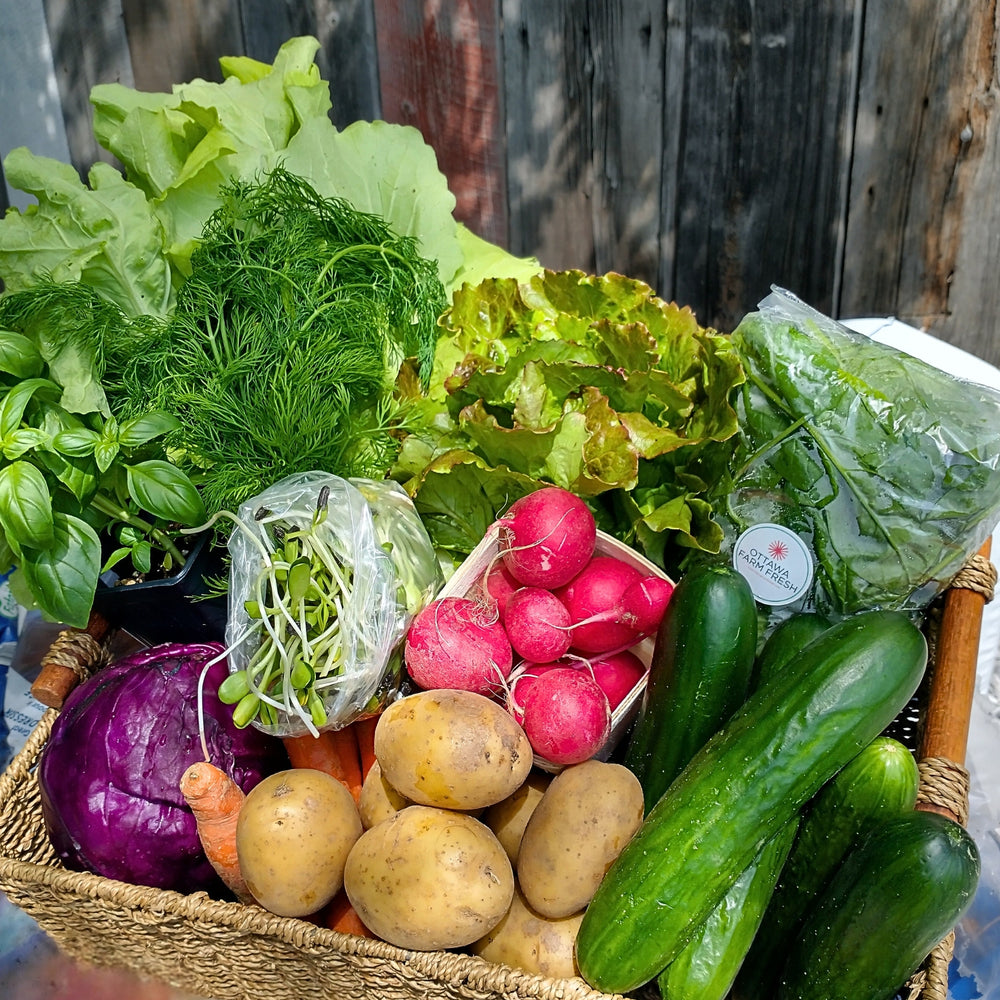 Ottawa Farm Fresh | Organic CSA Baskets & Organic Farm in Ottawa
