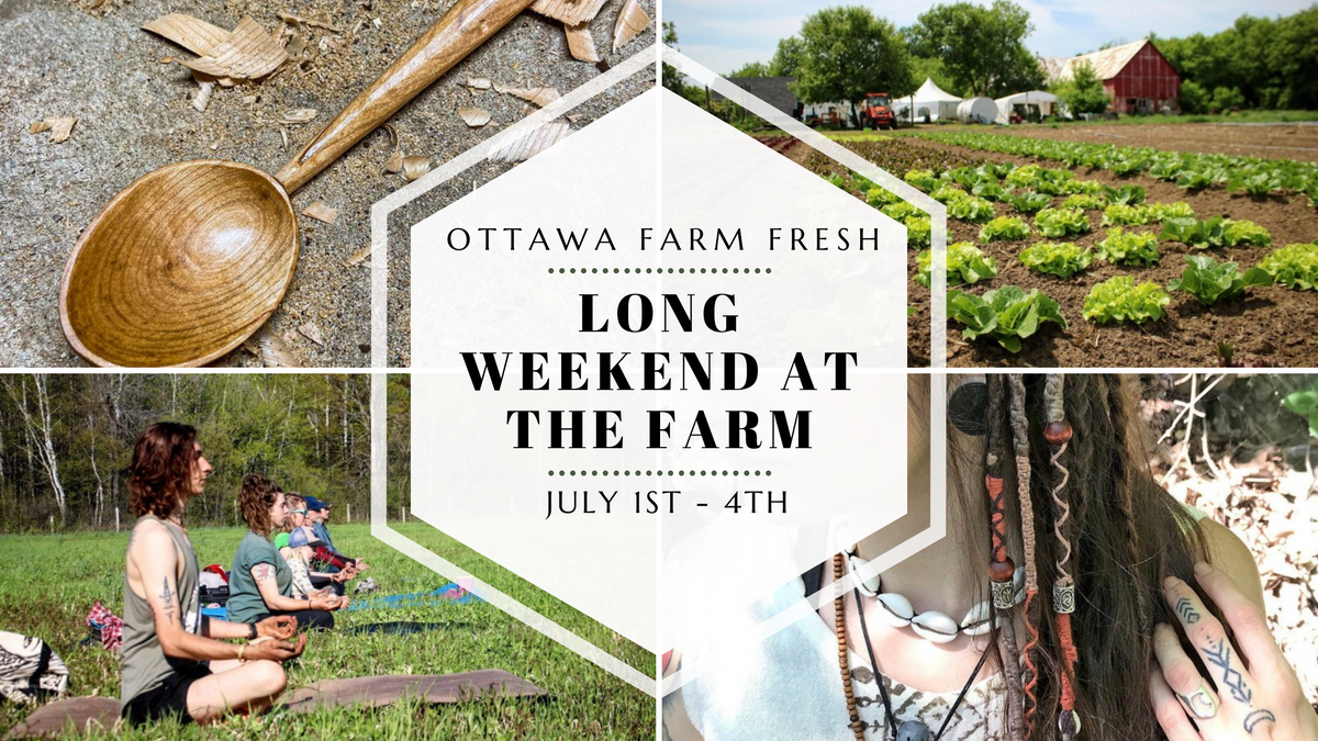Canada Day Long Weekend at the Farm – Ottawa Farm Fresh