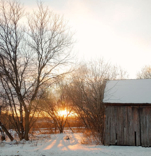 What do Farmers do in the Winter? – Ottawa Farm Fresh