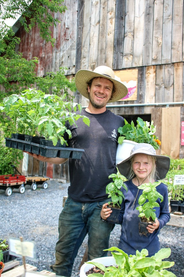 Caring For Your Farm Fresh Garden – Ottawa Farm Fresh