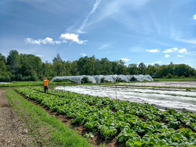 Get Gardening with Farmer Jo: Prepping Your Garden for a Great Growing ...