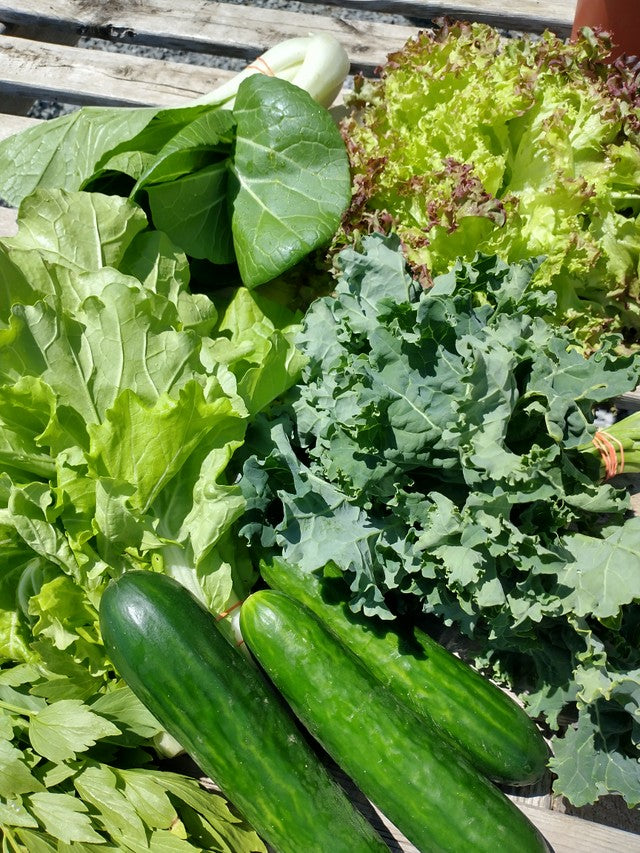 Your Guide To Farm Fresh Spring Veg – Ottawa Farm Fresh